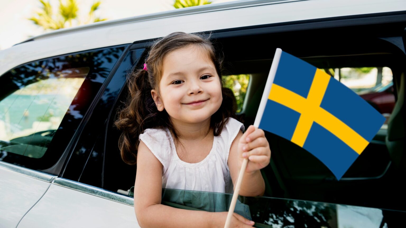The Swedish Flag: A Symbol of Unity, History, and National Pride